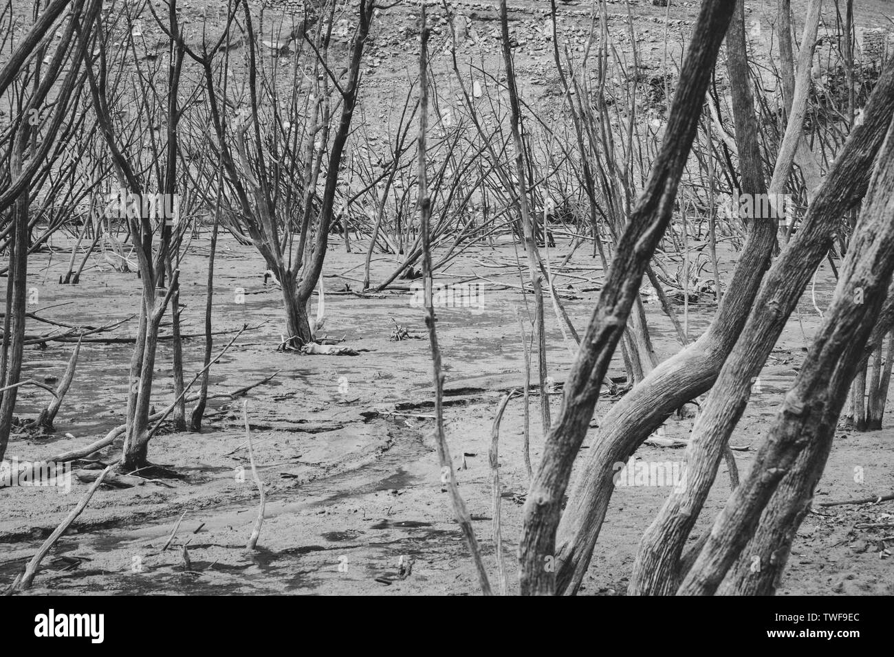 Dead rivers hi-res stock photography and images - Alamy