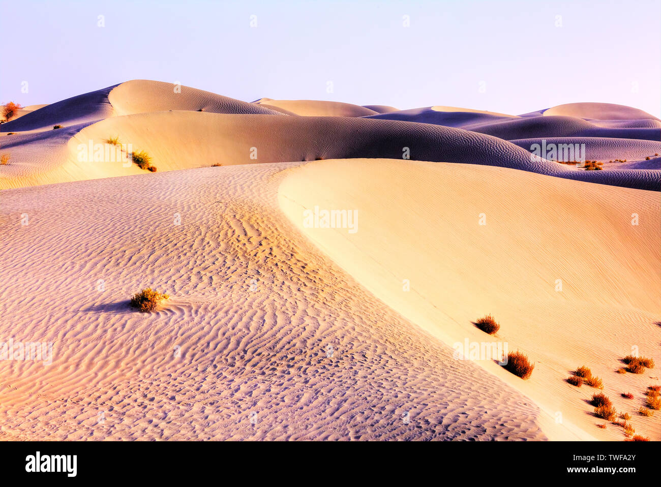 The path of life Stock Photo - Alamy