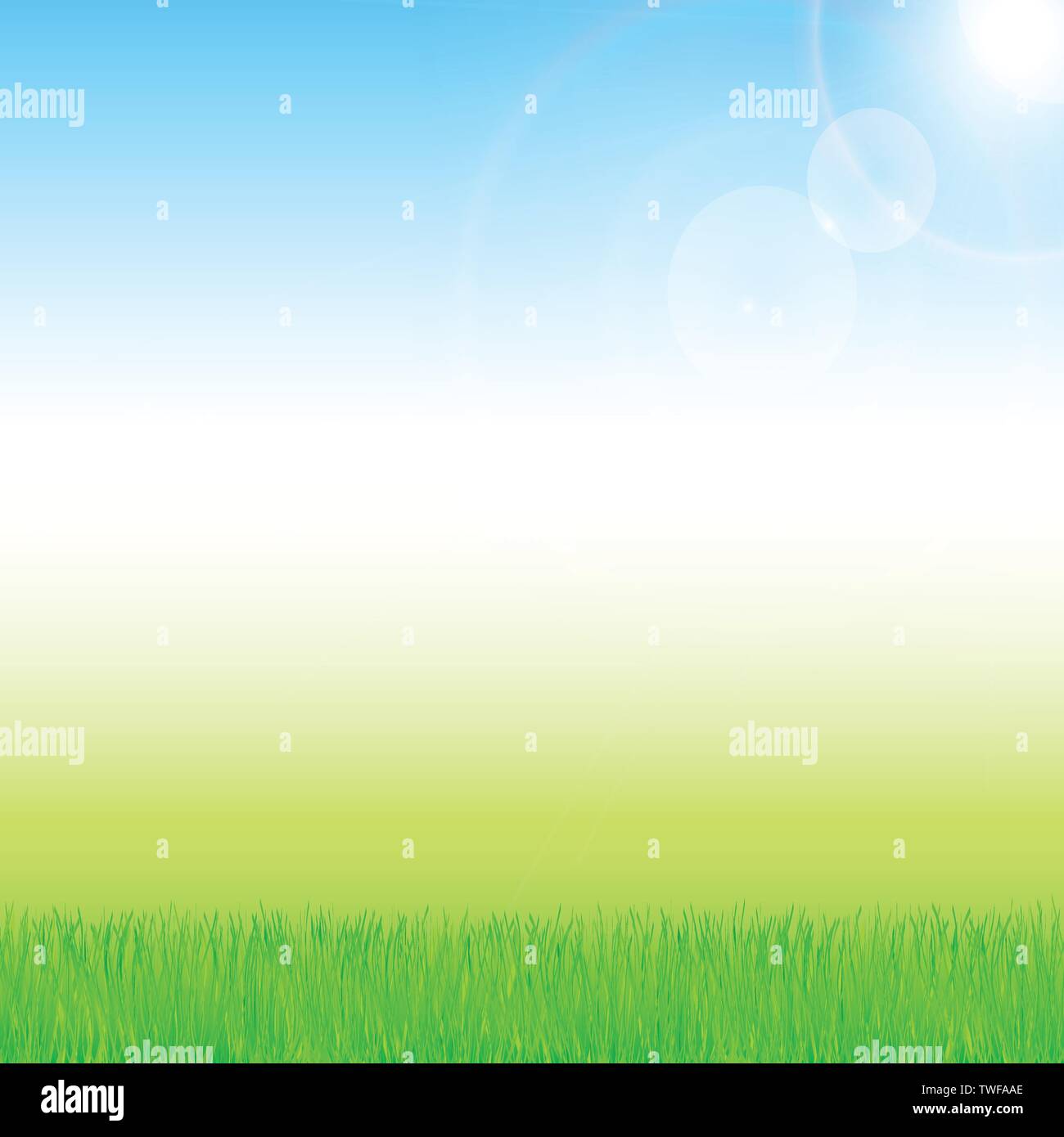 Summer sunshine white Stock Vector Images - Alamy