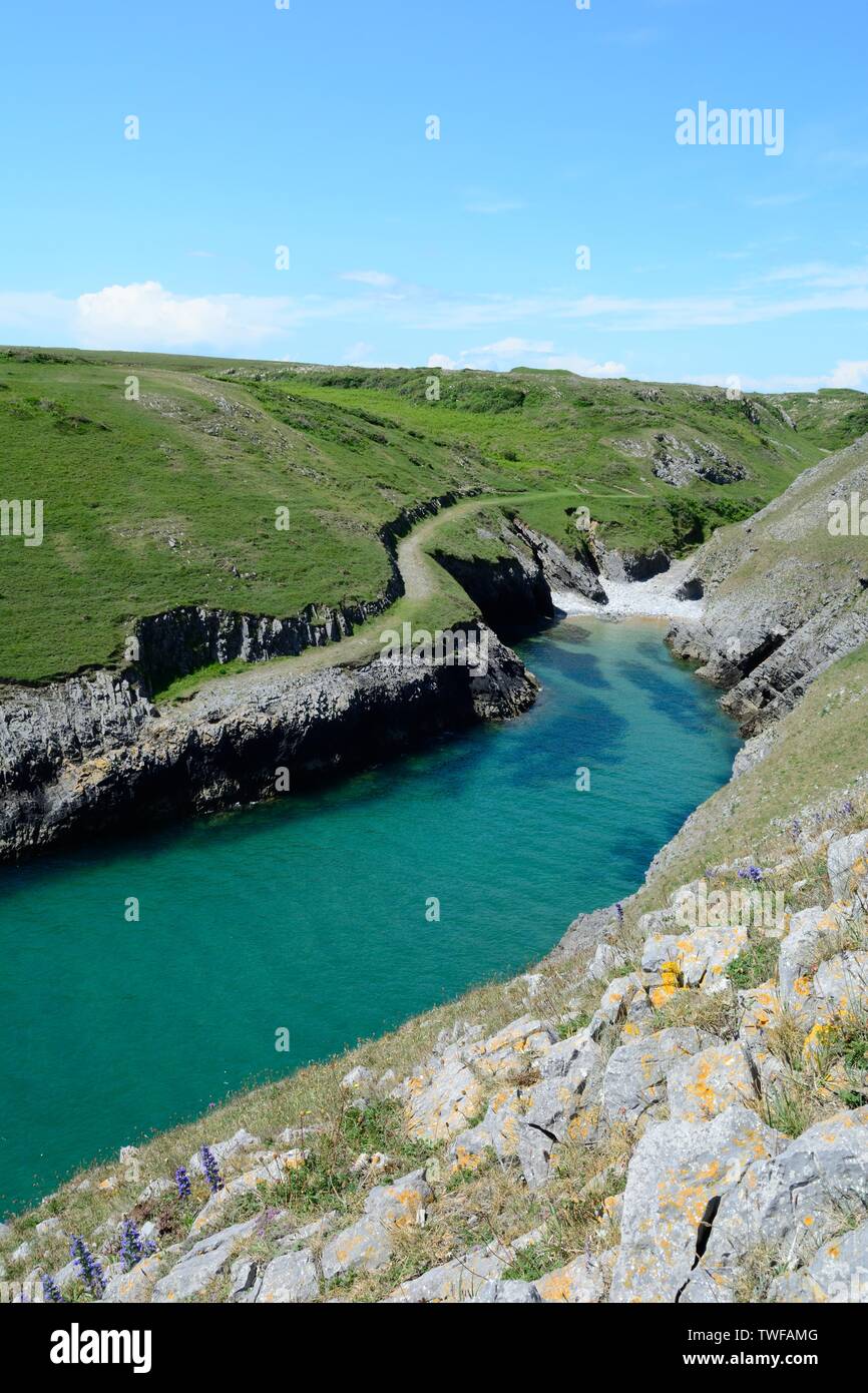 New Quay bay Pembrokeshire remote sandy inlet surrounded by limestone ...