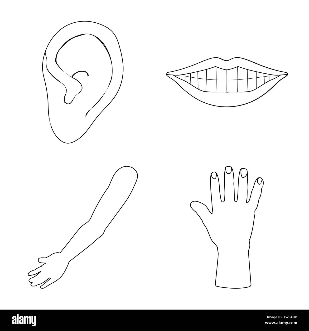 Vector design of body and part icon. Set of body and anatomy stock ...