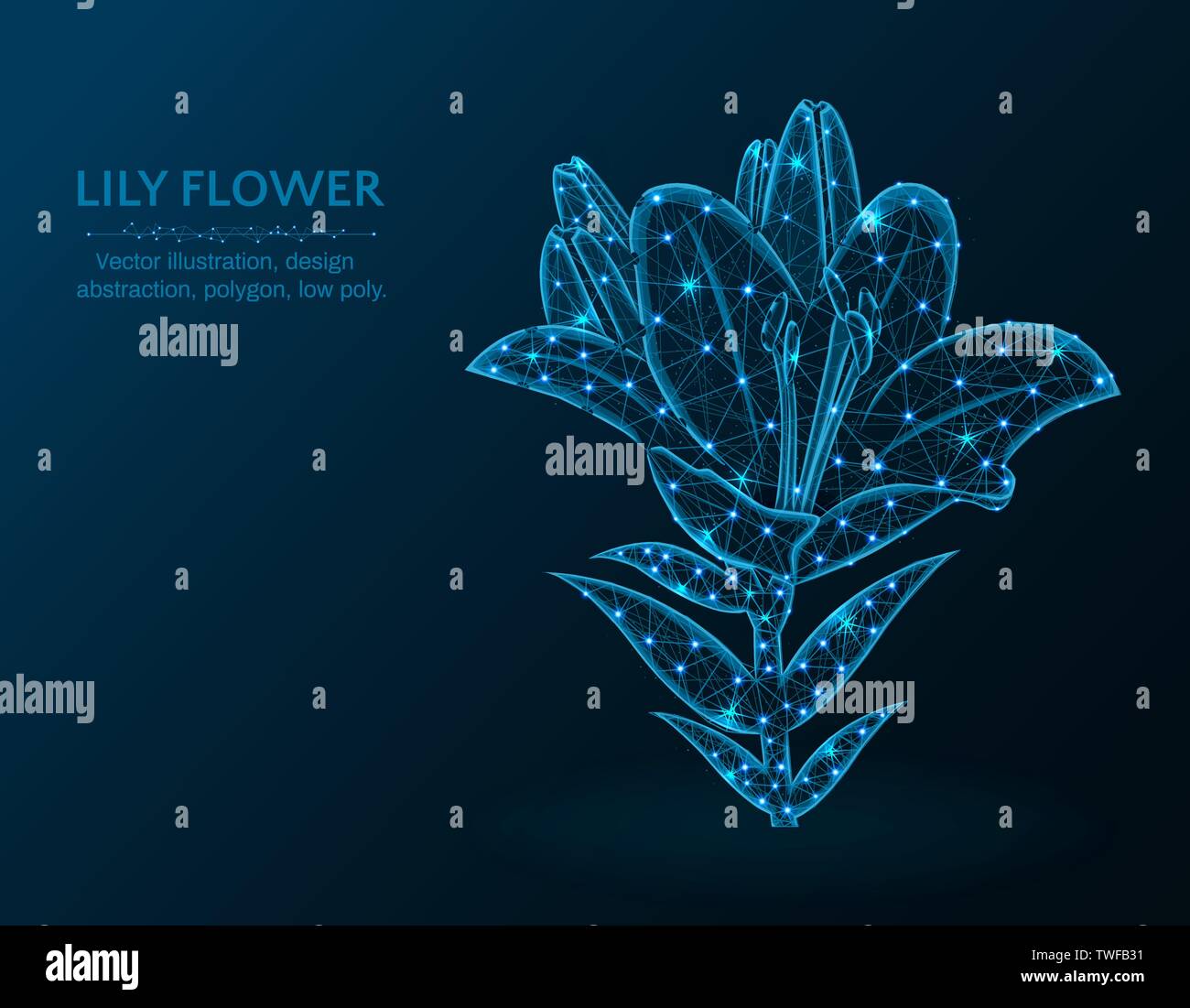 Lily flower low poly design, blossom in polygonal style, plant vector ...