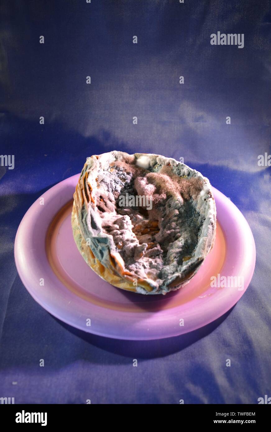 State of decay, daily sequence of the decay of a watermelon, slowly ...