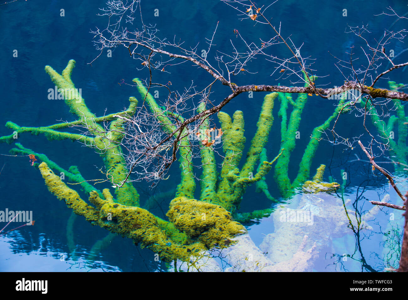 Scenery in the water Stock Photo - Alamy