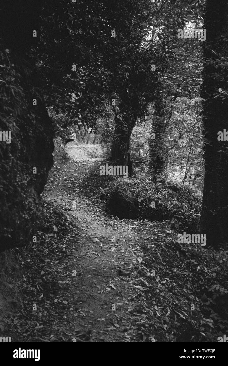 Lake at Isola Santa, Tuscany Stock Photo - Alamy