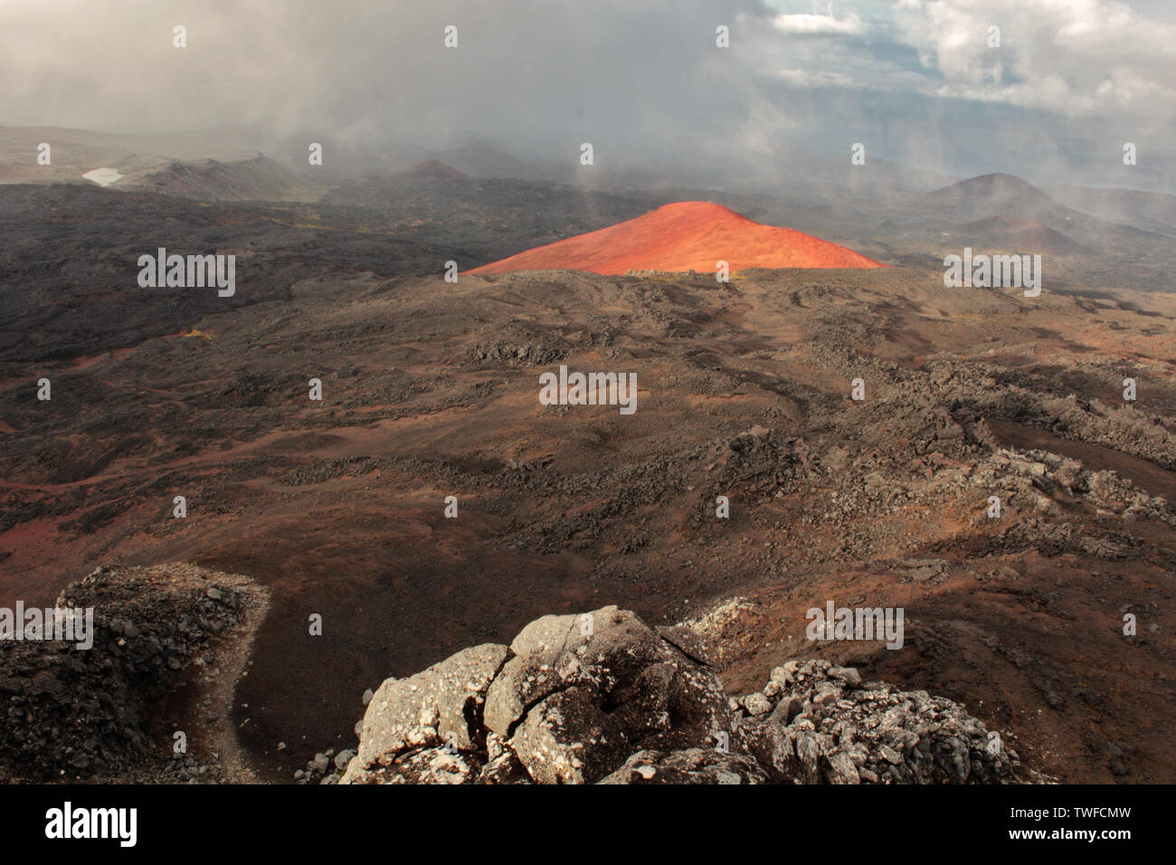 The scoria cone, "Big Red", located on Marion Island. The photo was ...