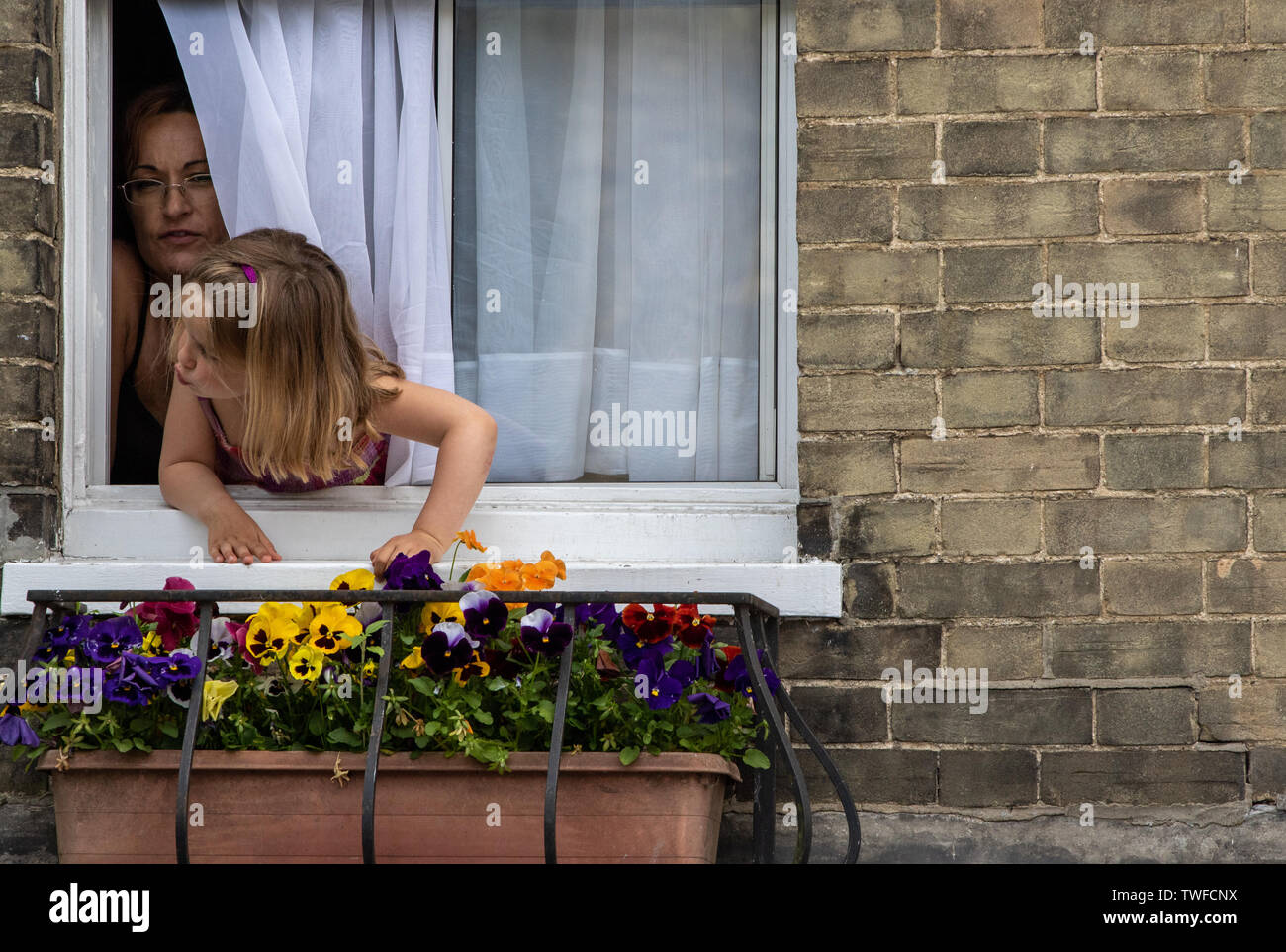 Small girl leaning out of open sash window to watch parade Stock Photo ...