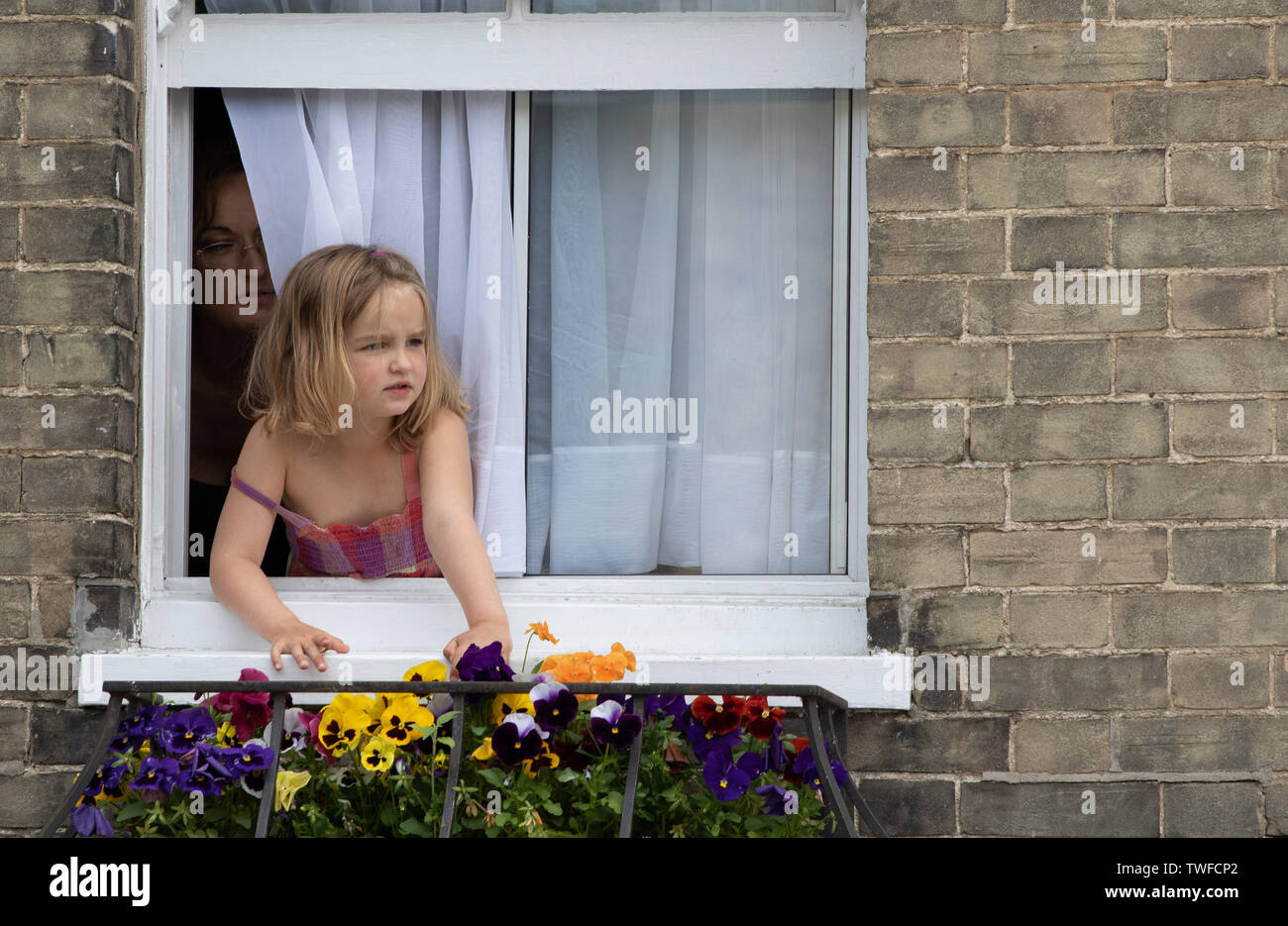 Small girl leaning out of open sash window to watch parade Stock Photo ...