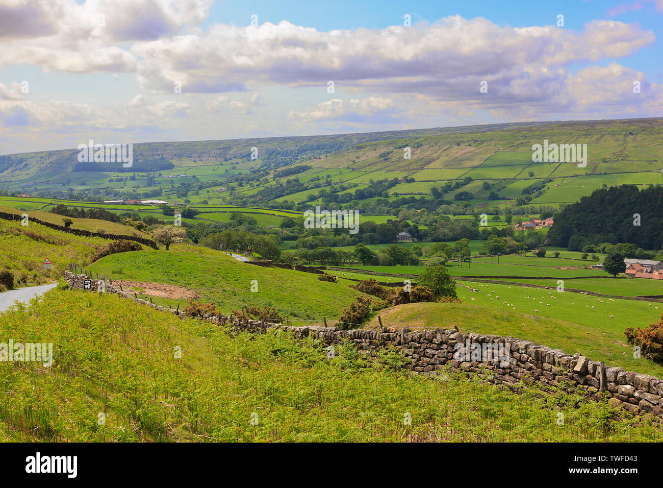 Farming in the Farndale Valley on the North York Moors, England, UK ...