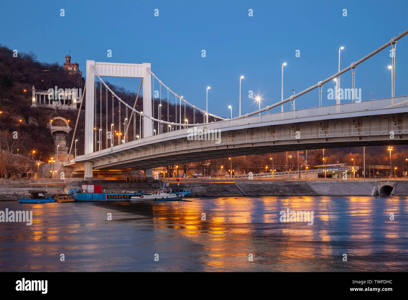 Dawn at Elisabeth Bridge across the Danube in Budapest Stock Photo - Alamy