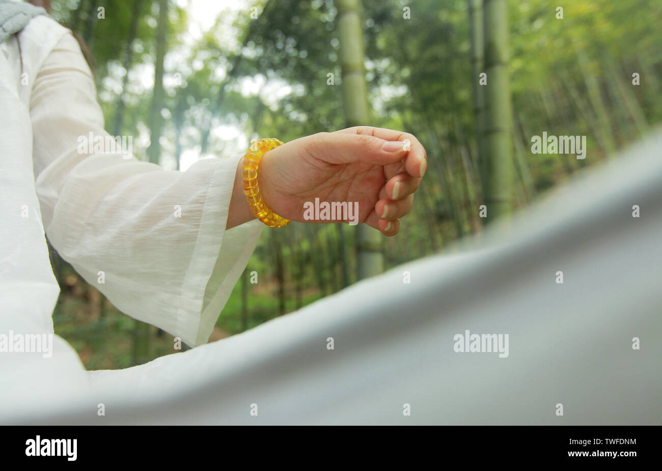 Entourage forest landscape hi-res stock photography and images - Alamy