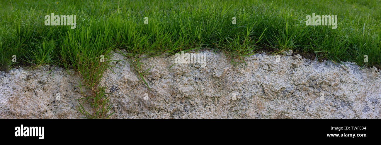 Side view grass and soil hi-res stock photography and images - Alamy