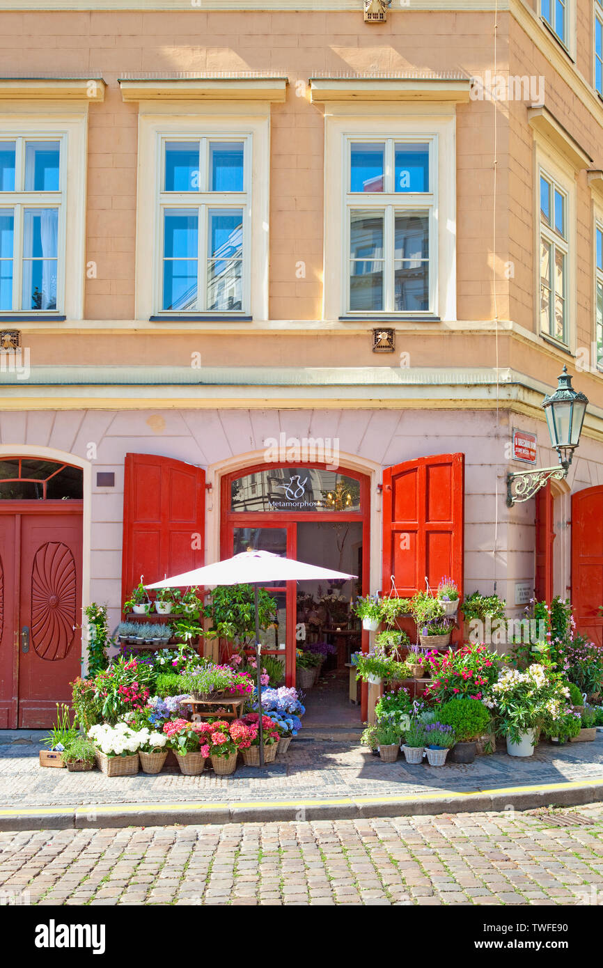 Prague flower hi-res stock photography and images - Alamy