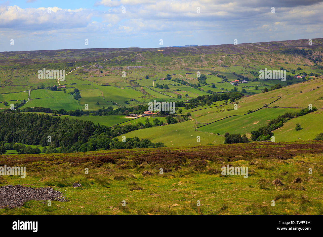 Farndale North Yorkshire Stock Photos & Farndale North Yorkshire Stock ...