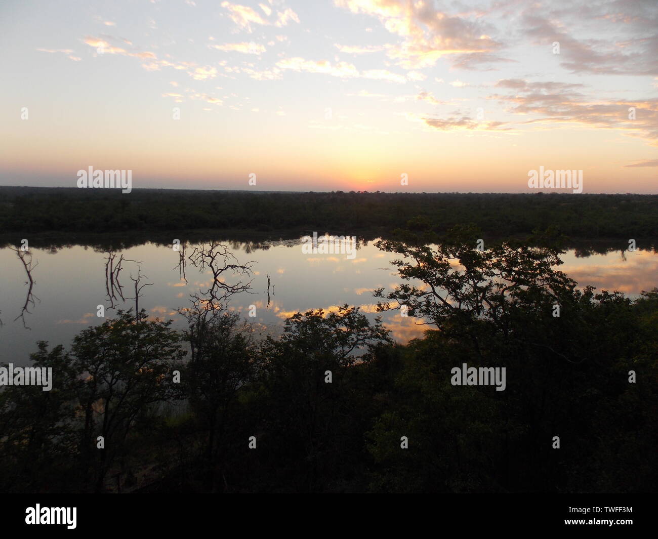 Mopani hi-res stock photography and images - Alamy