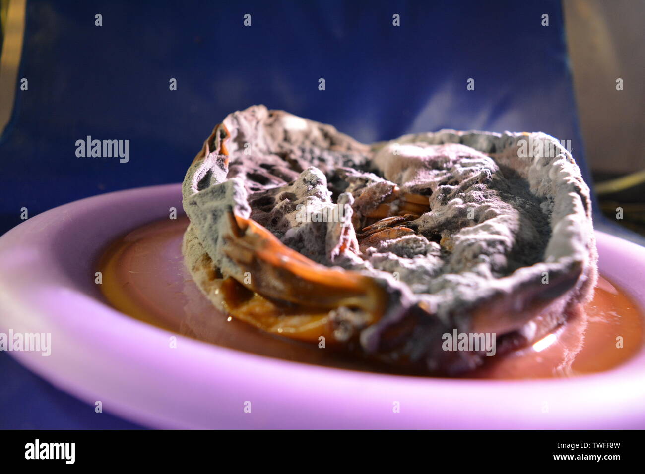 State of decay, daily sequence of the decay of a watermelon, slowly ...