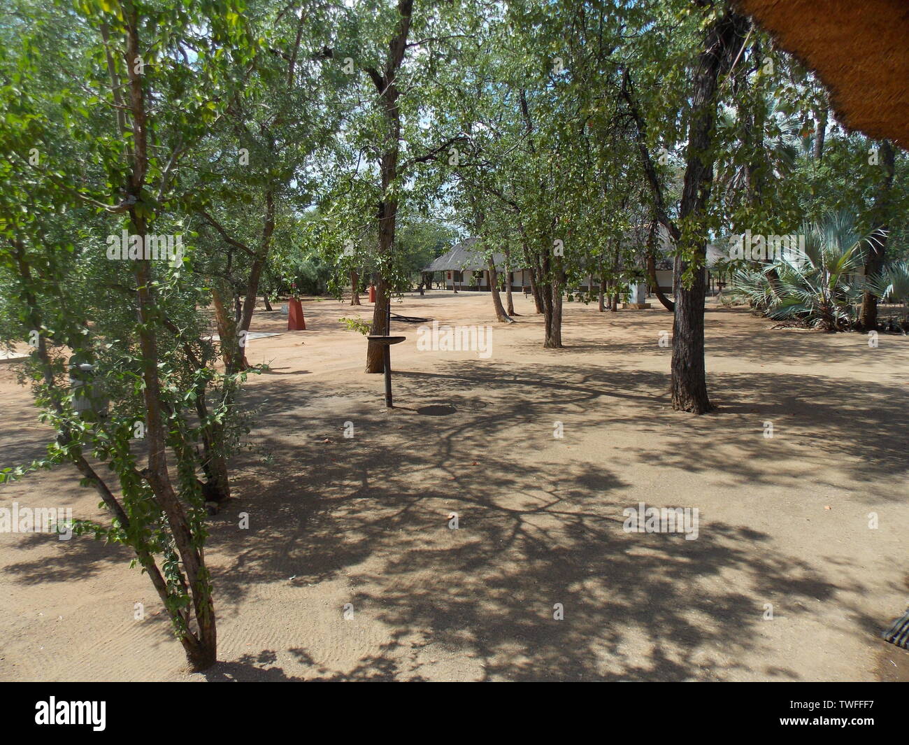 Shingwedzi Camp , Kruger National Park Stock Photo - Alamy