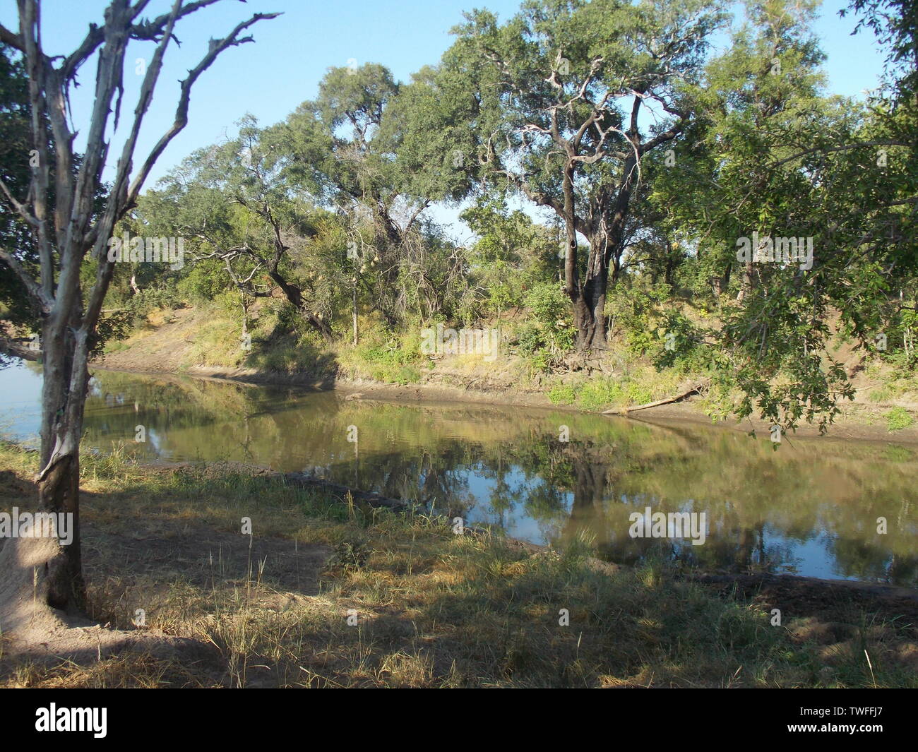 Overhanging River Bank High Resolution Stock Photography and Images - Alamy