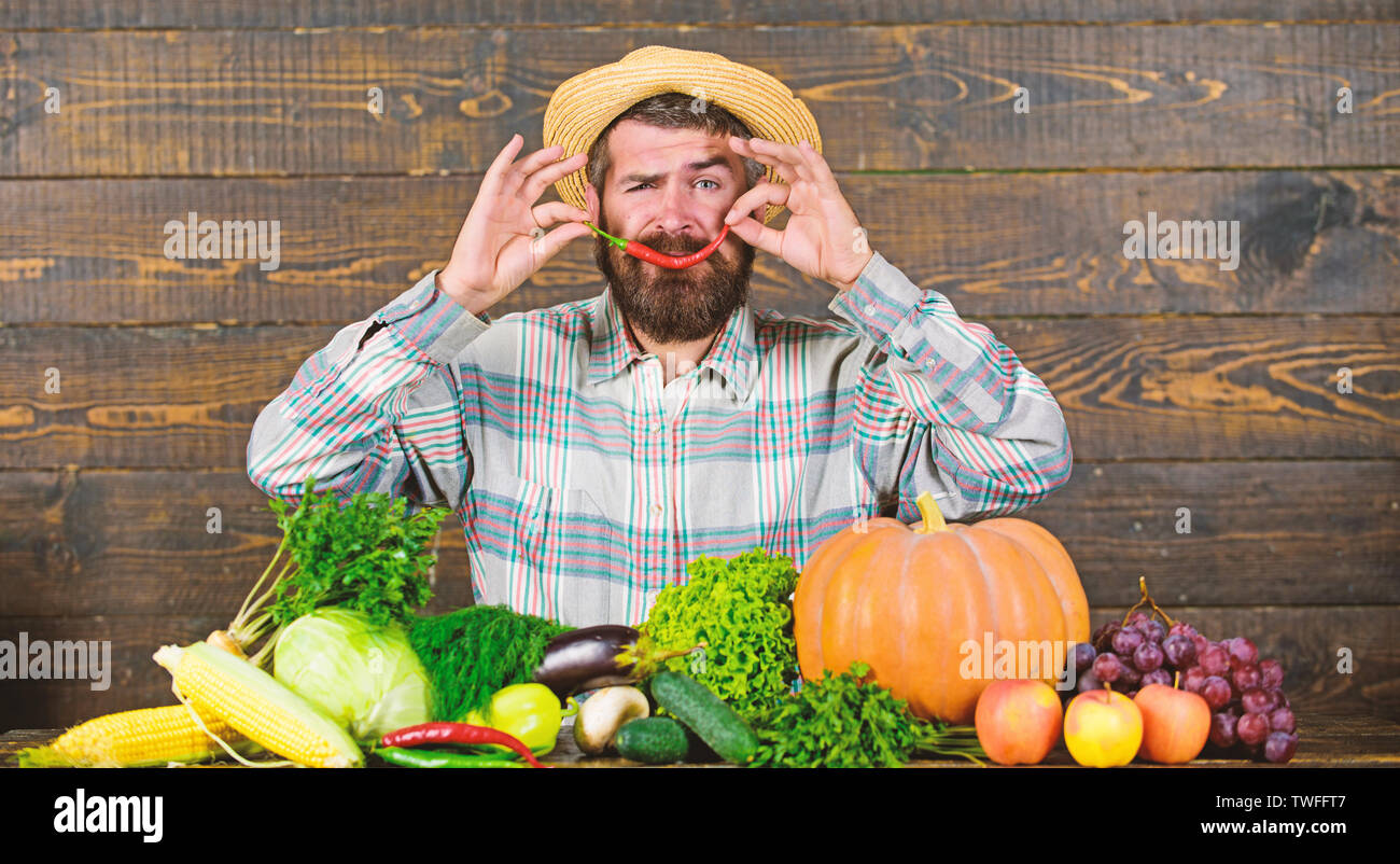 Farmer presenting hot chilli pepper wooden background. Rustic farmer in ...