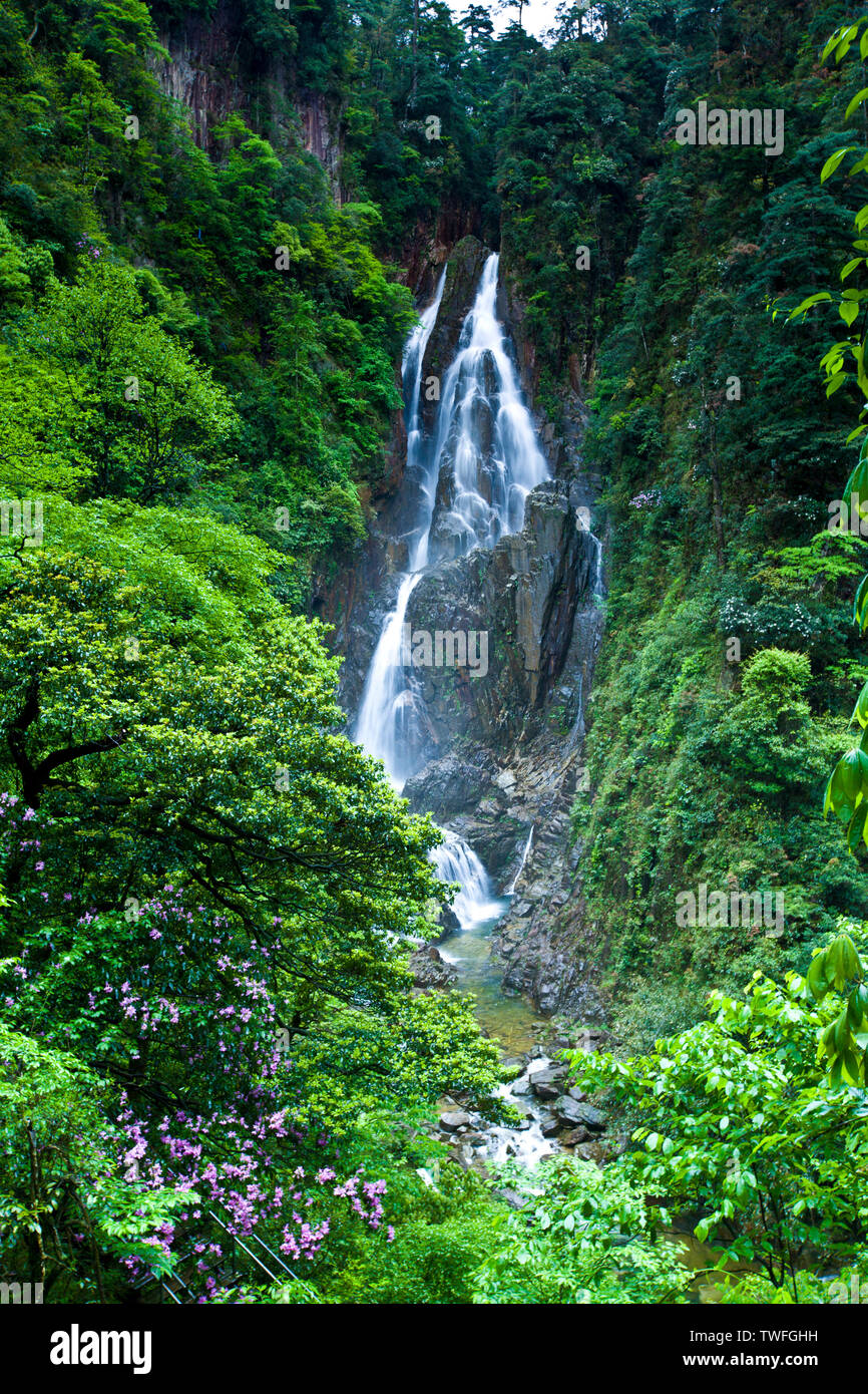 Like a trickle waterfall Stock Photo - Alamy