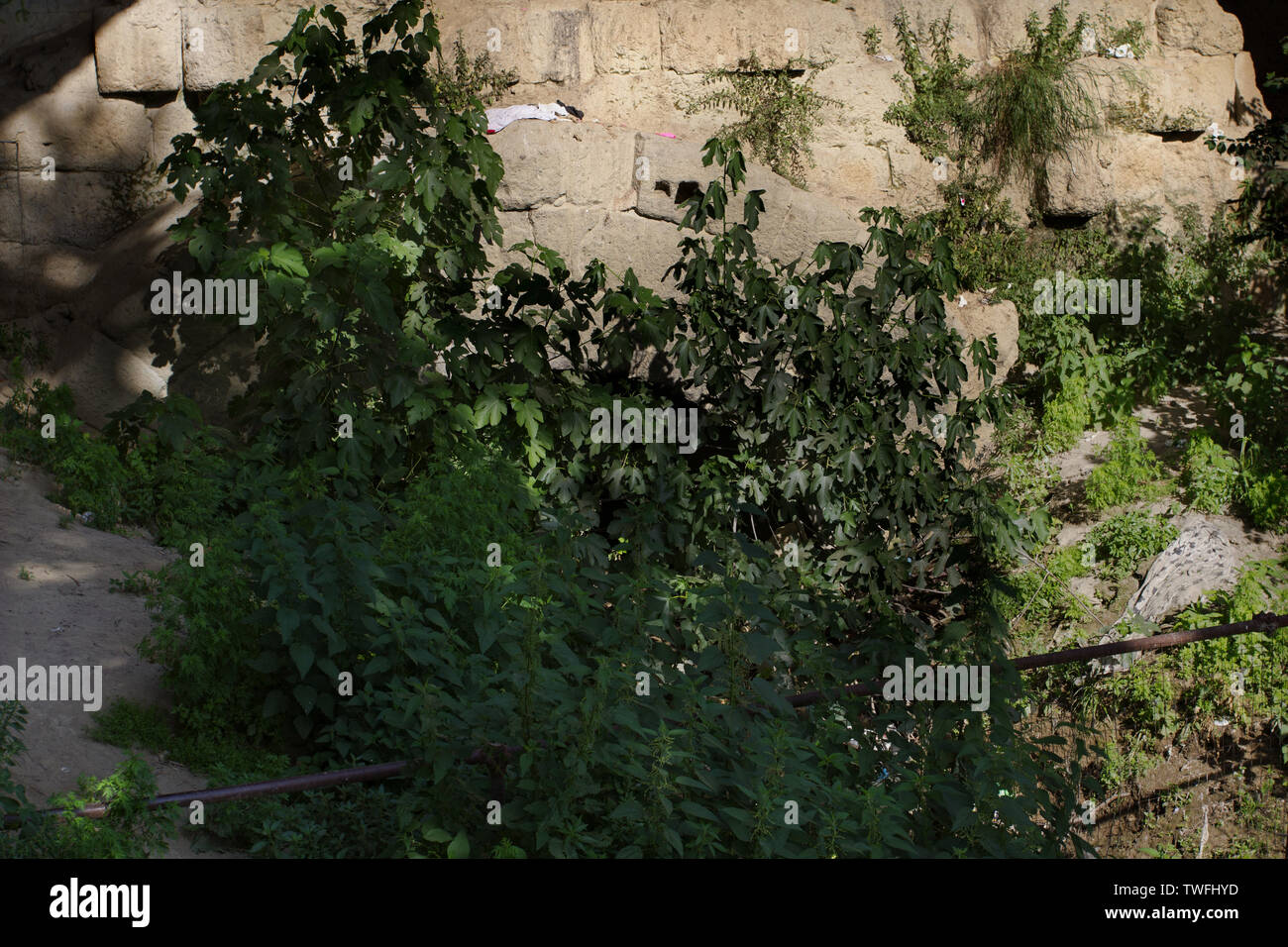 Rome tiber cloaca maxima antique hi-res stock photography and images ...