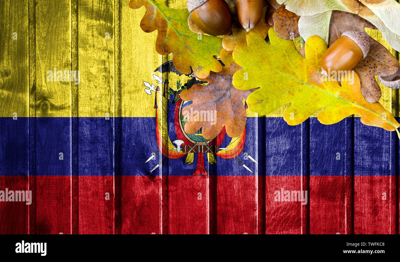 Ecuador flag on autumn wooden background with leaves and good place for ...