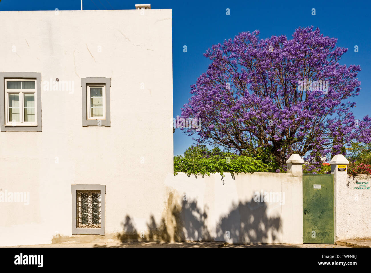Jacaranda house hi-res stock photography and images - Alamy