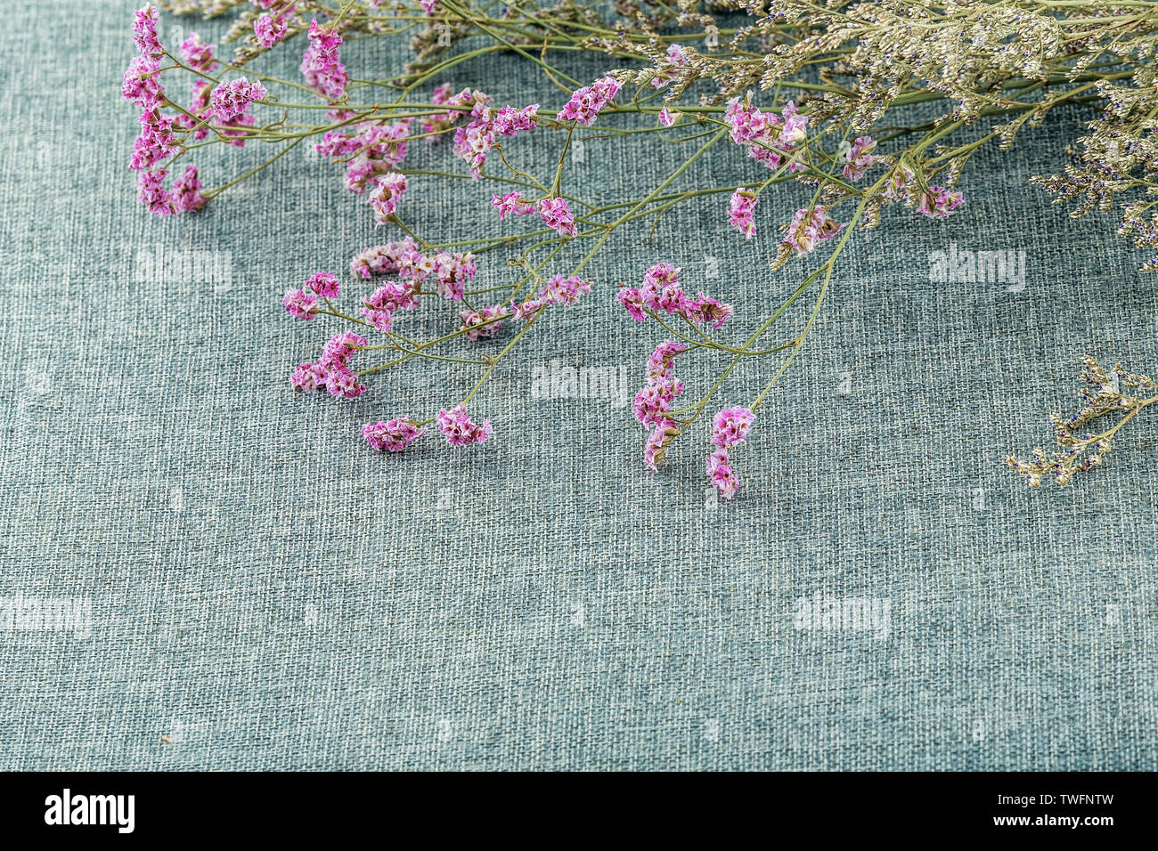 Dry flower background material Stock Photo - Alamy