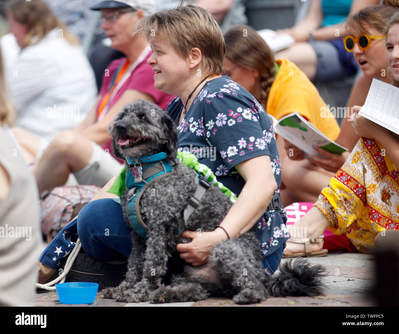 20 June 2019, North Rhine-Westphalia, Dortmund: A dog with a church day ...