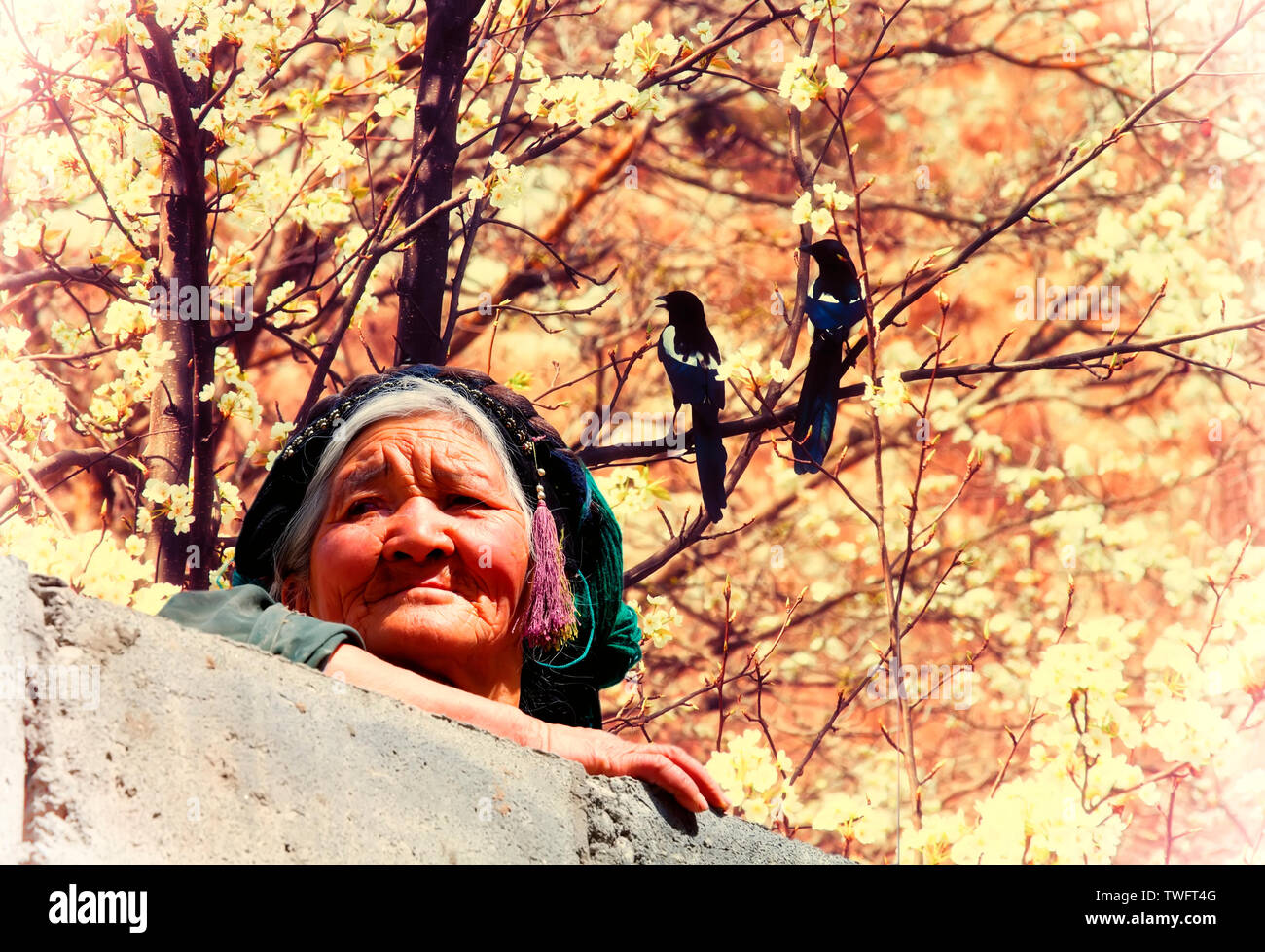 Jiang Rong Tibetan old man in Jinchuan County, Sichuan Stock Photo - Alamy