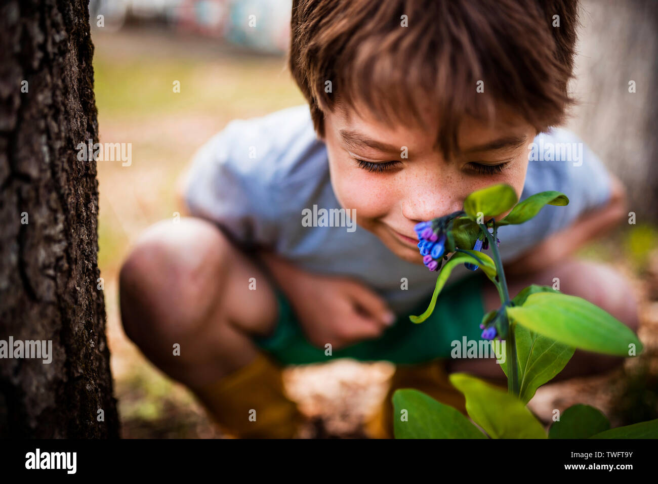 Boy smelling flower hi-res stock photography and images - Alamy