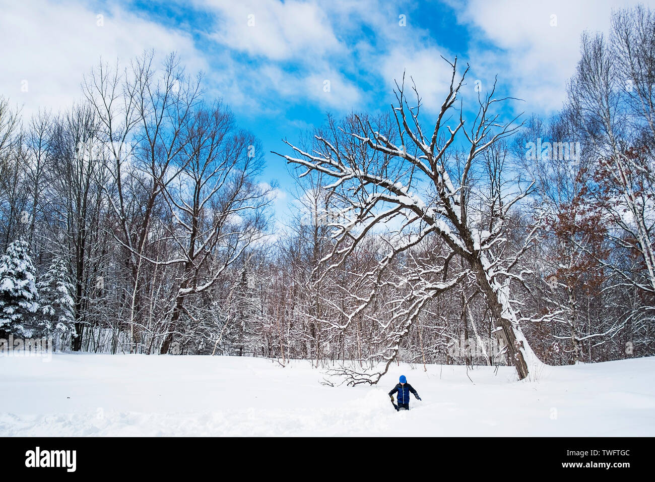 Two boys playing in the snow, United States Stock Photo - Alamy