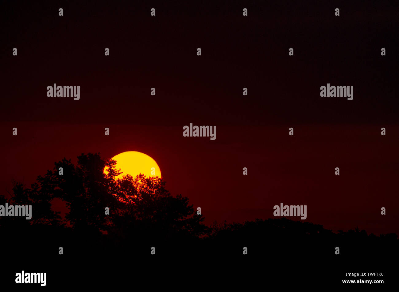 A deep orange sun rises up behind some leafy trees with a dark orange ...