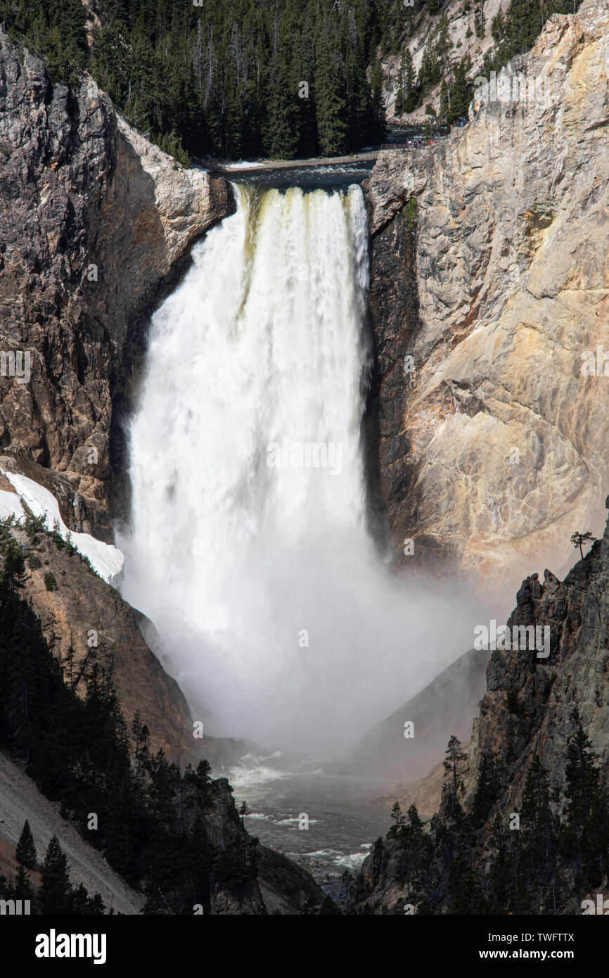 Lower Falls (of the Yellowstone River), as seen from the Artist Point ...