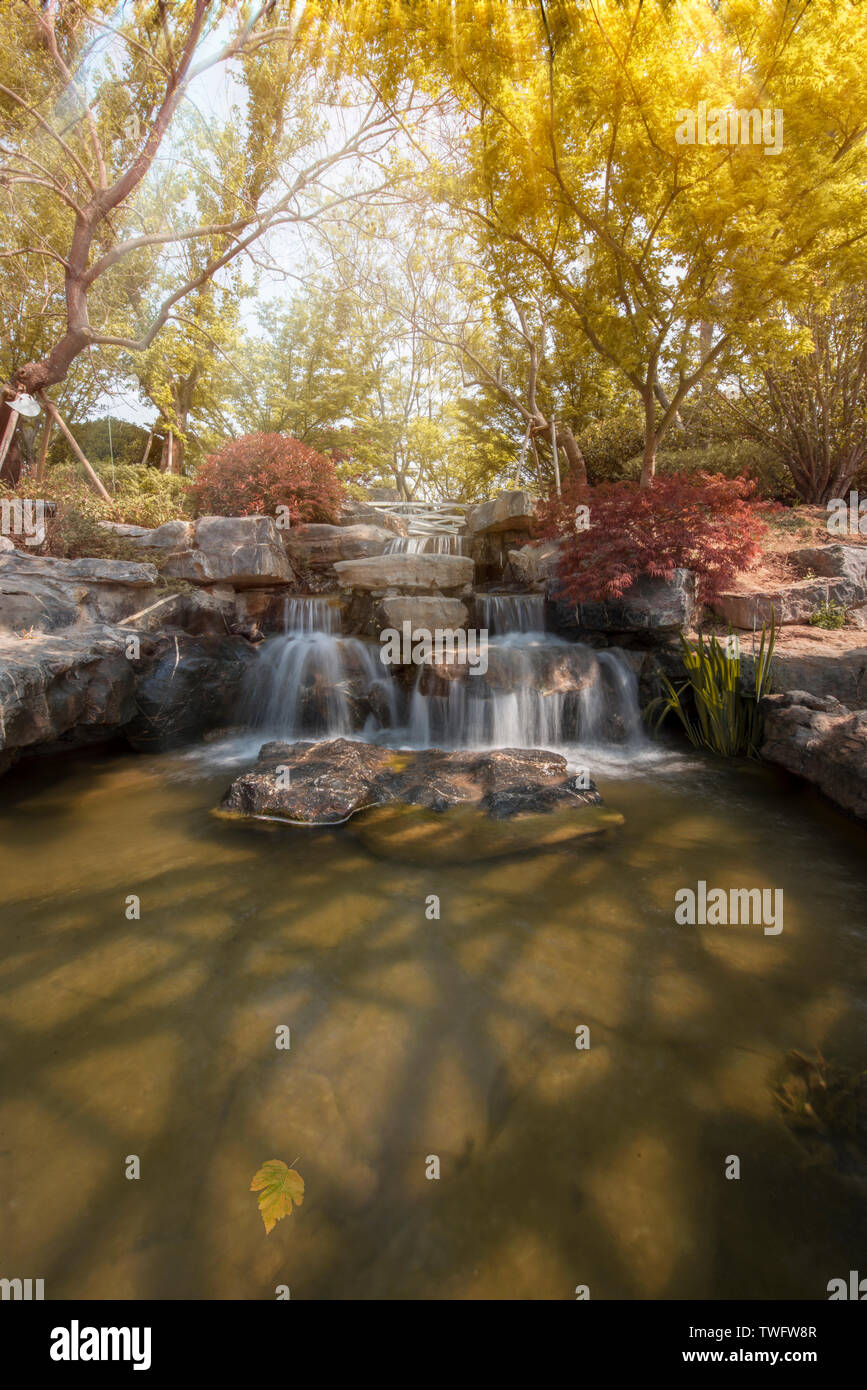 Landscape of Garden Expo Park in Zhengzhou, Henan Province Stock Photo ...