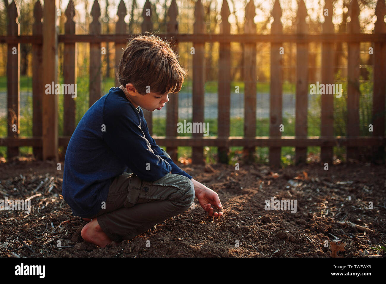 Children planting seeds hi-res stock photography and images - Alamy