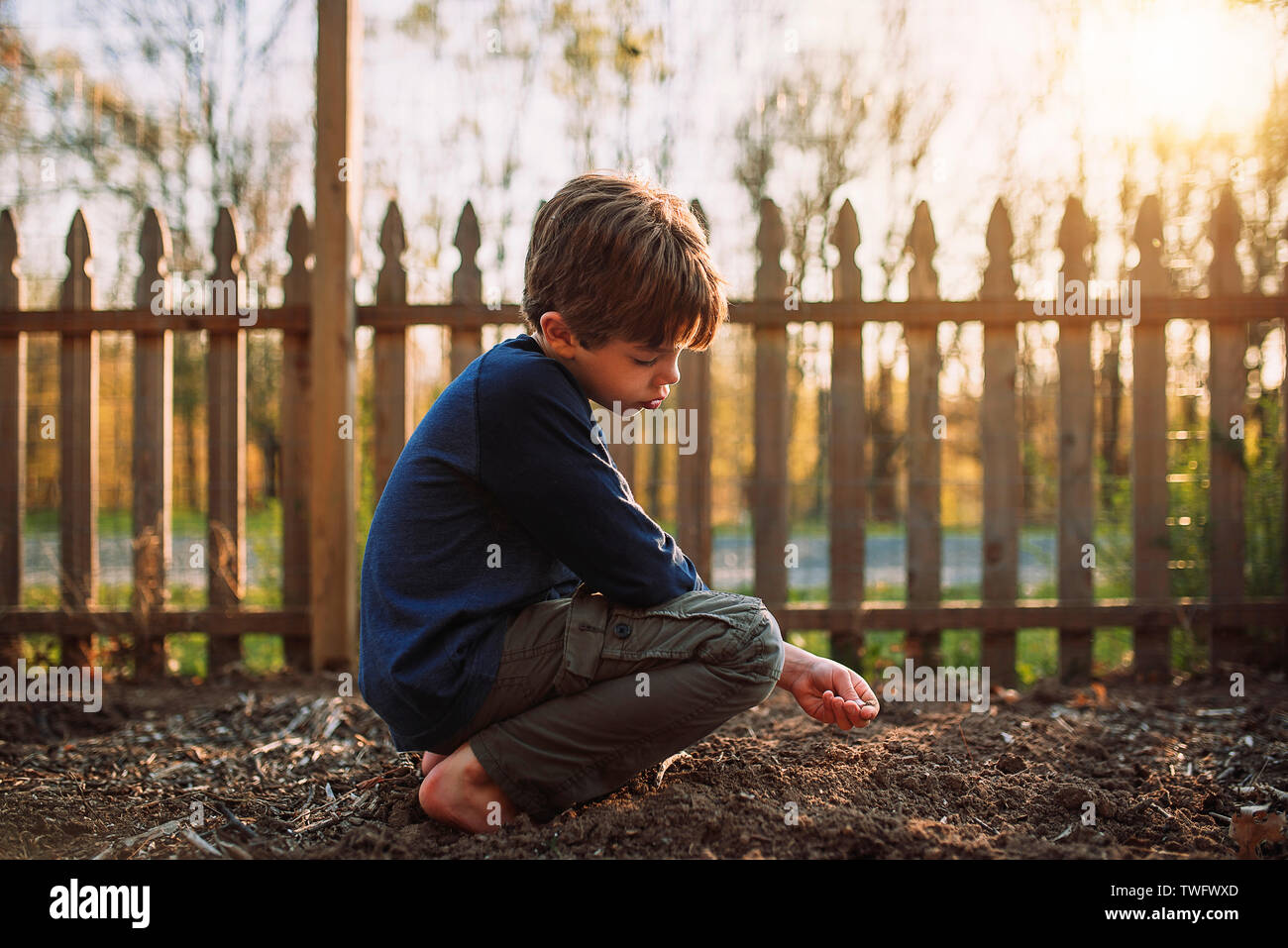 Boy Planting Seeds High Resolution Stock Photography and Images - Alamy