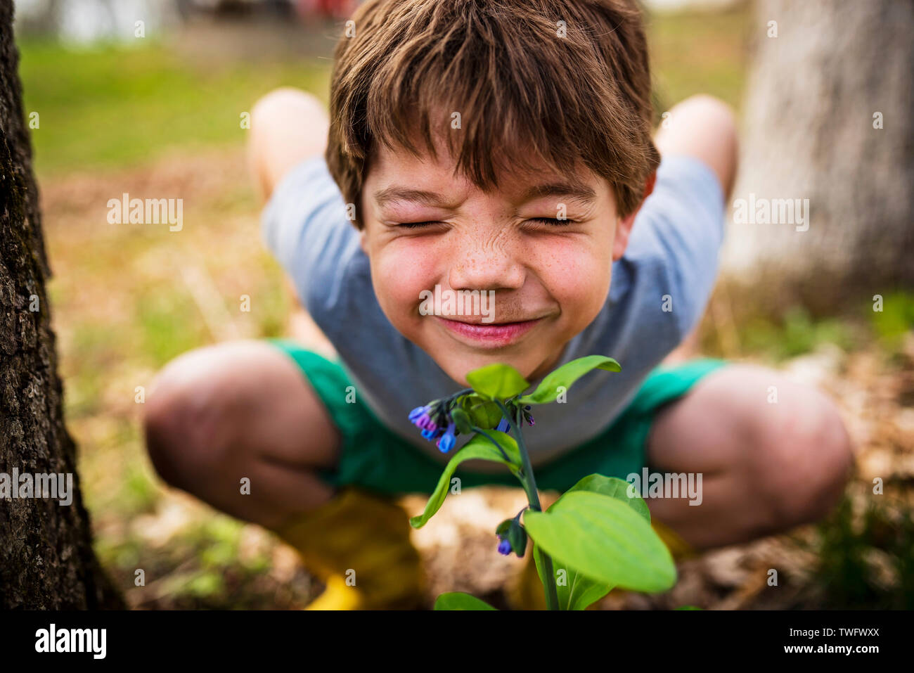 Boy crouching in the garden smelling a flower, United States Stock ...