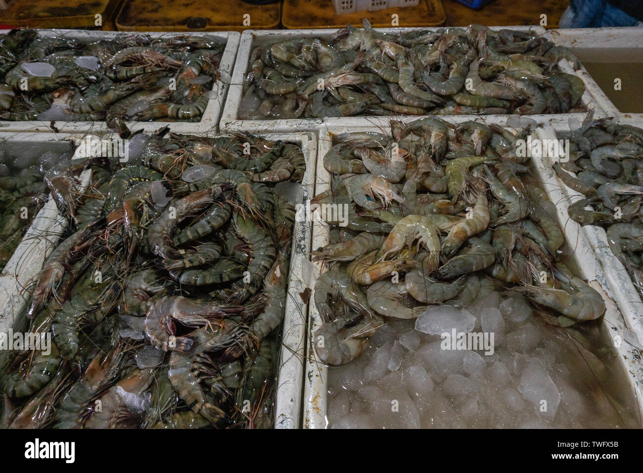 Prawn sale seafood selling shrimp hi-res stock photography and images ...