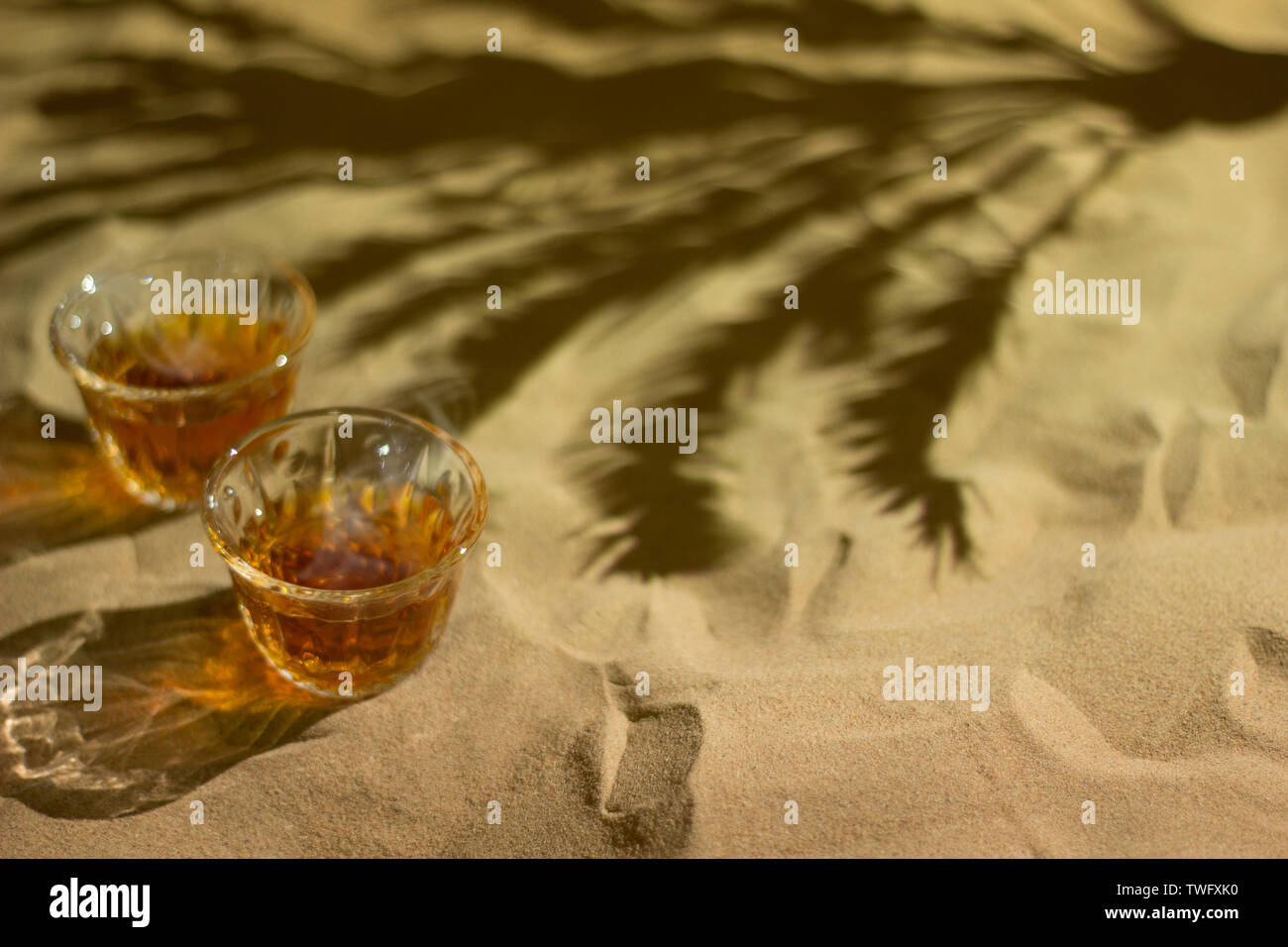 Arabian Desert Tea and Palm tree Shadow on Sand Series 1 Stock Photo ...