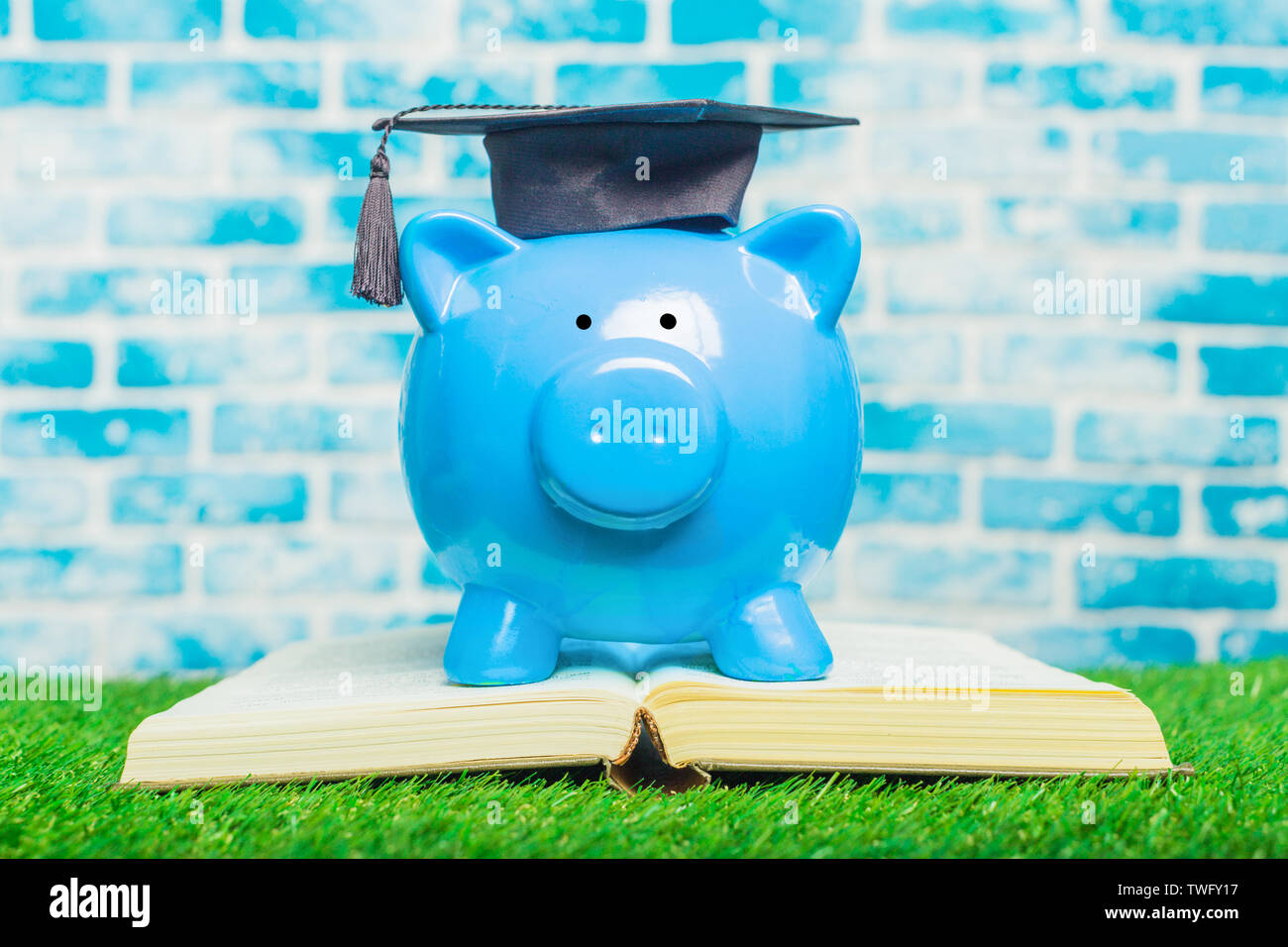 College graduate student diploma piggy bank Stock Photo - Alamy