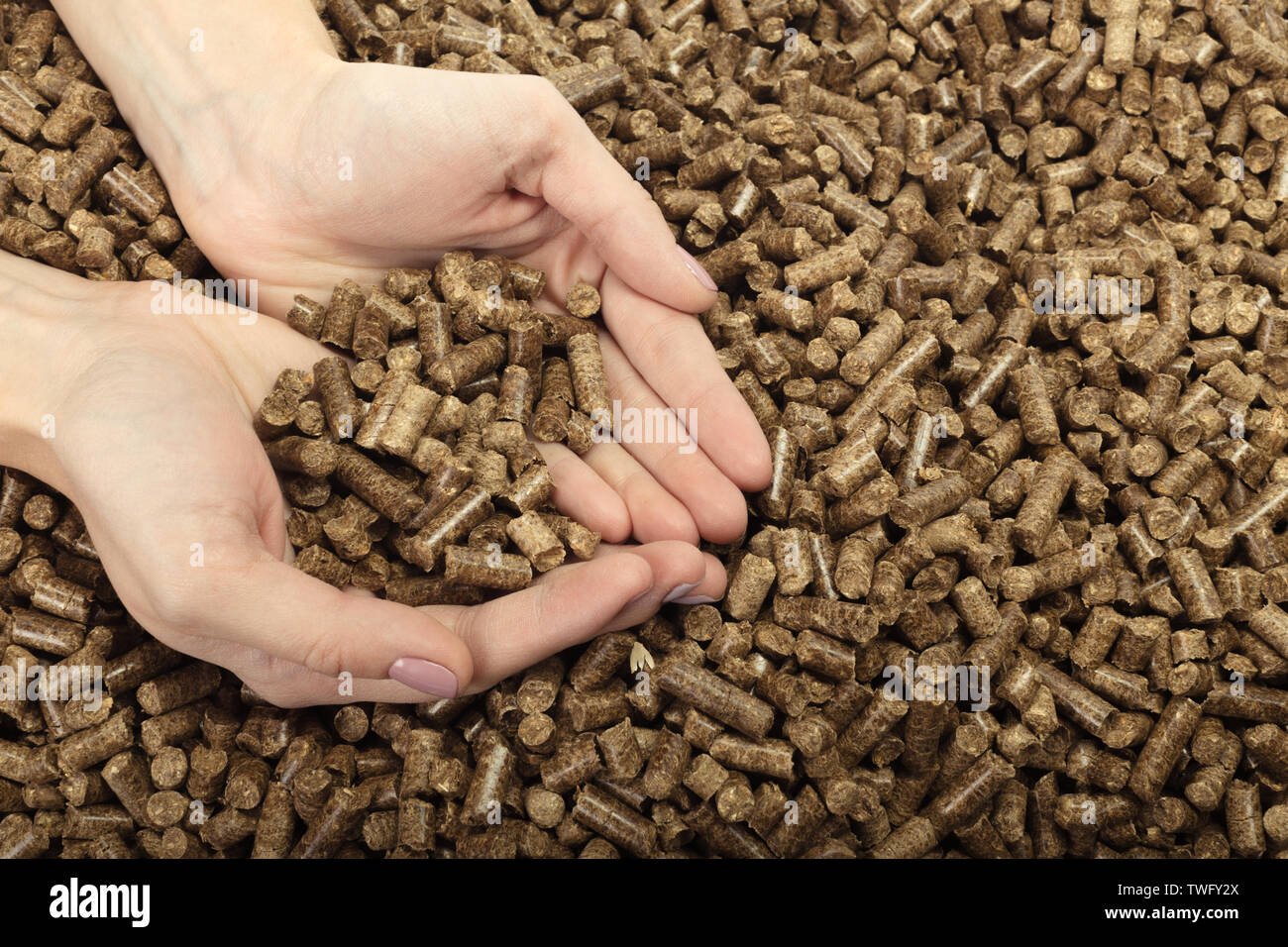 Human hand holding solid wooden pellets Stock Photo - Alamy
