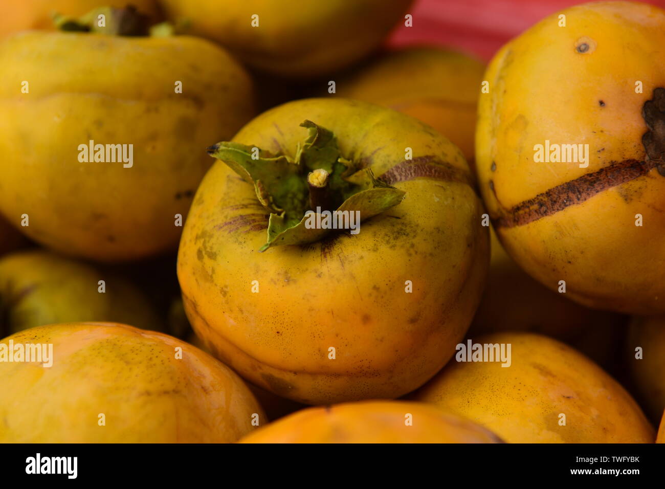 Rhubarb persimmon hi-res stock photography and images - Alamy