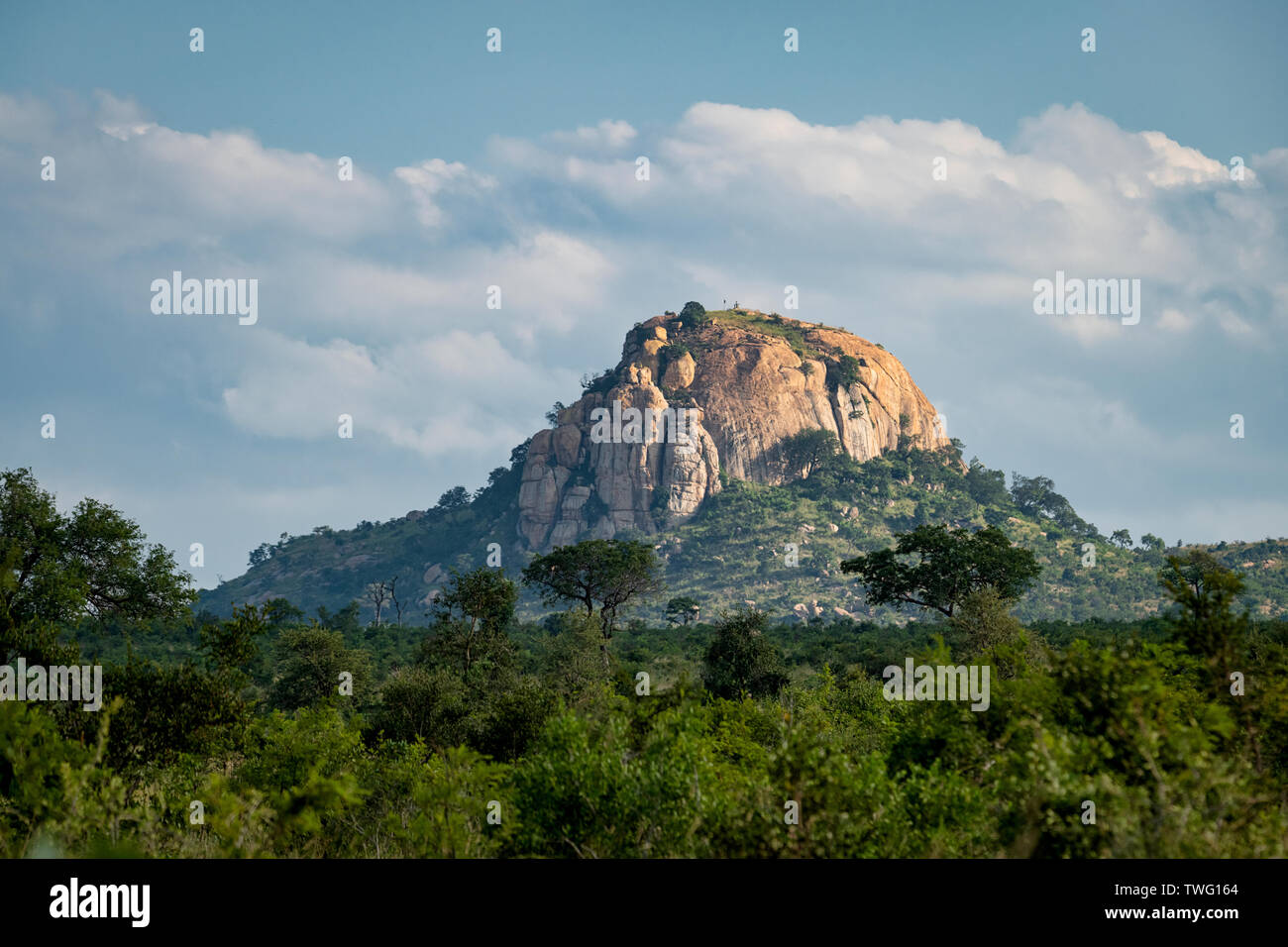 Pretoriuskop kruger hi-res stock photography and images - Alamy