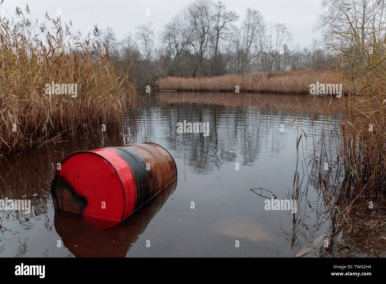 Red flank hi-res stock photography and images - Alamy