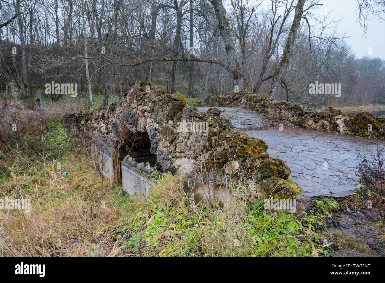 old bridge in the forest in autumn time Stock Photo - Alamy