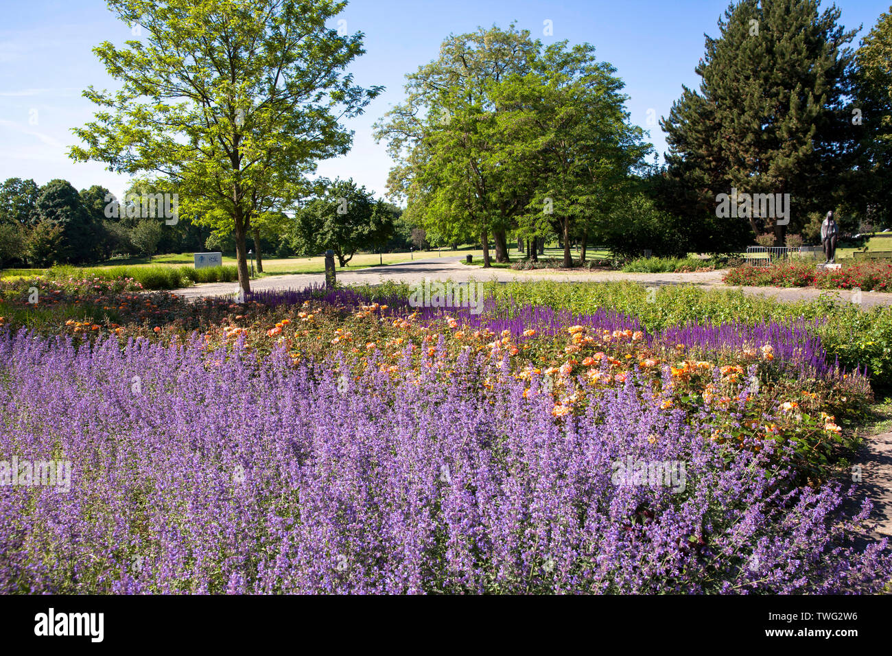 the Rhine Park in the district Deutz, local recreation area, Cologne ...