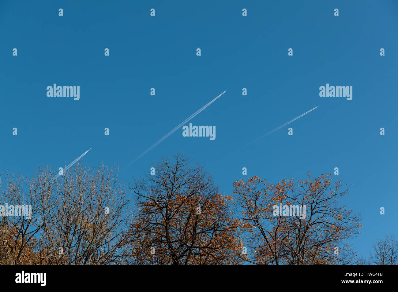 Flying colors hi-res stock photography and images - Alamy