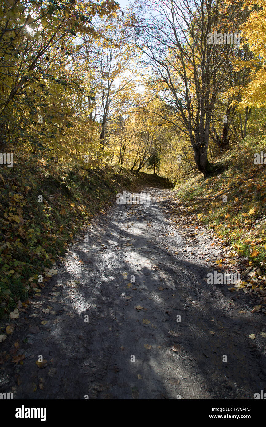 autumn landscape with bright colors in the daytime Stock Photo - Alamy