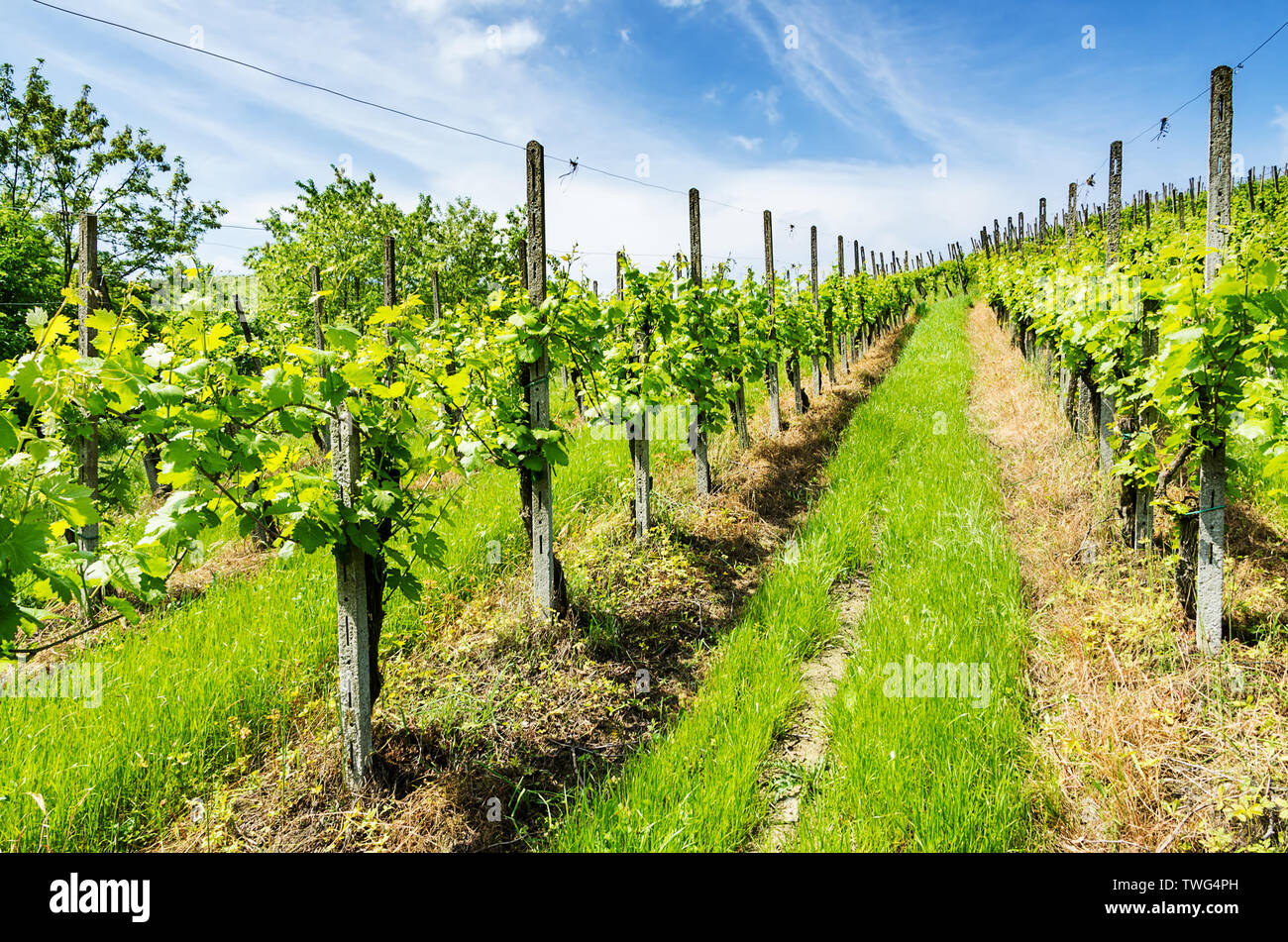 Italian valley hi-res stock photography and images - Alamy